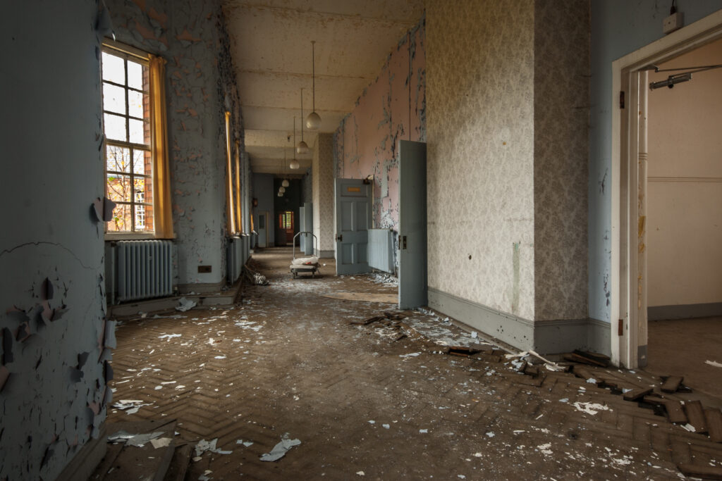 Deva, Countess of Chester Asylum, Chester - Whatevers Left